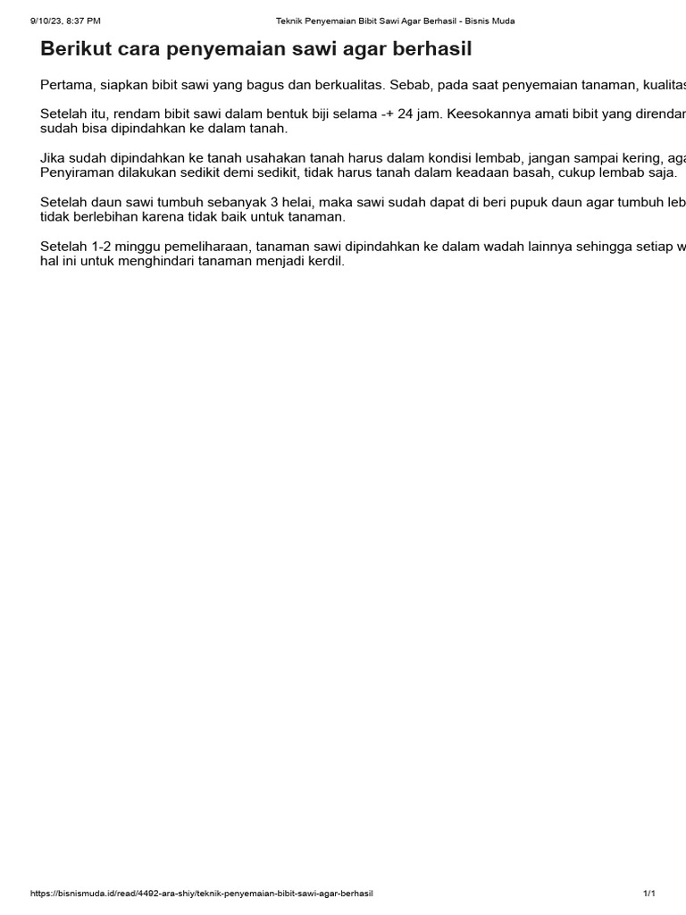 Teknik Persemaian Bibit Sawi | PDF