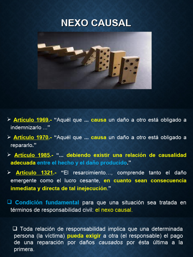 Nexo Causal | PDF | Causalidad (Ley) | Daños y perjuicios