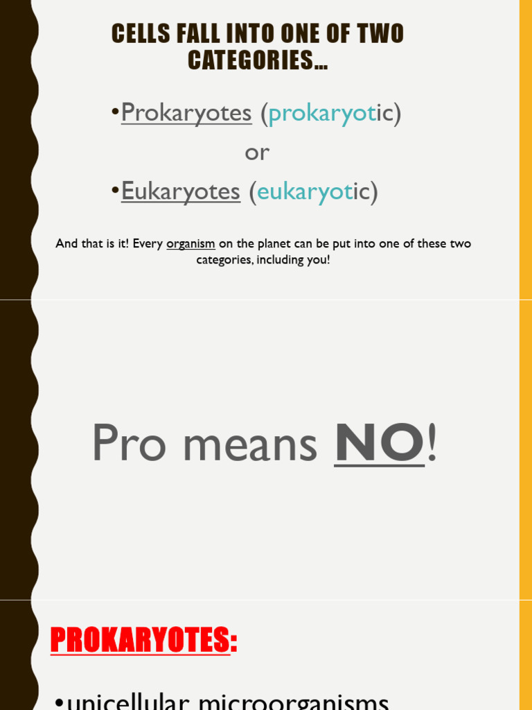 Prokar and Eukar - 11104 | PDF | Cell (Biology) | Eukaryotes