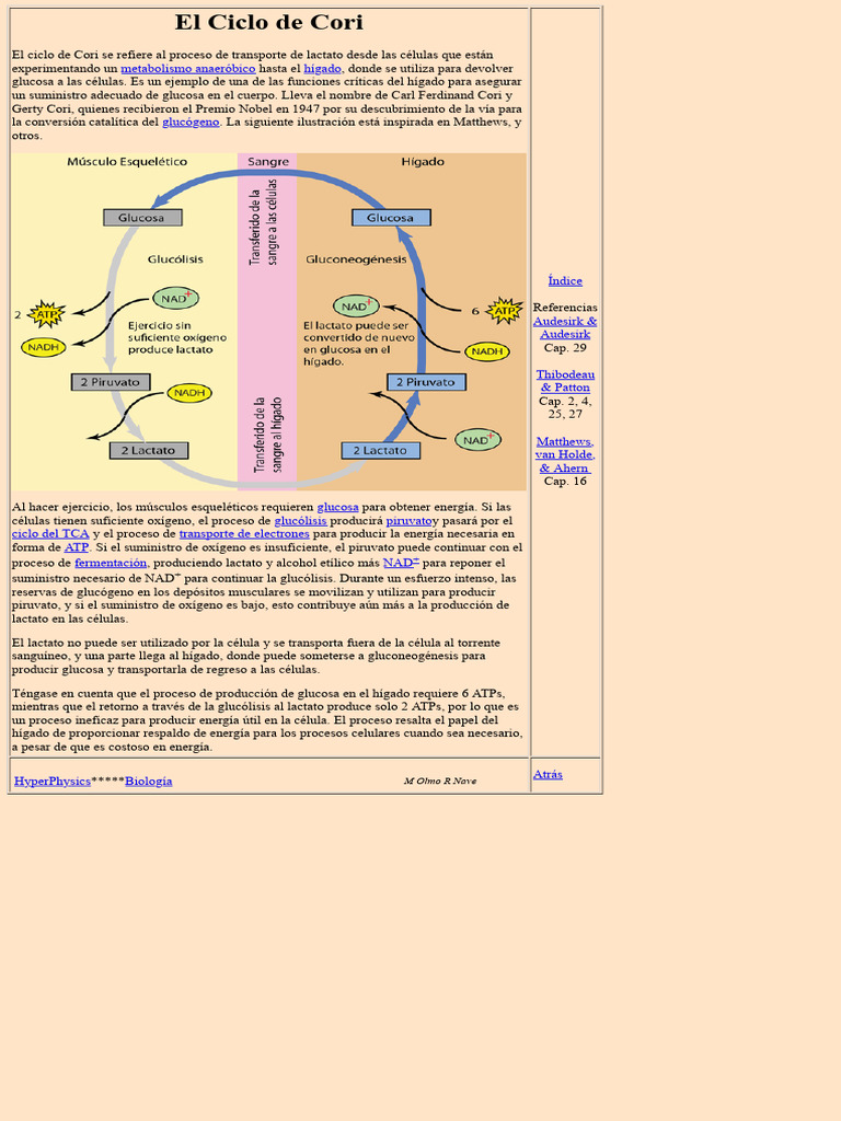 Cycle De Cori Pdf | Le Cycle De Cori Pdf – PPWBP