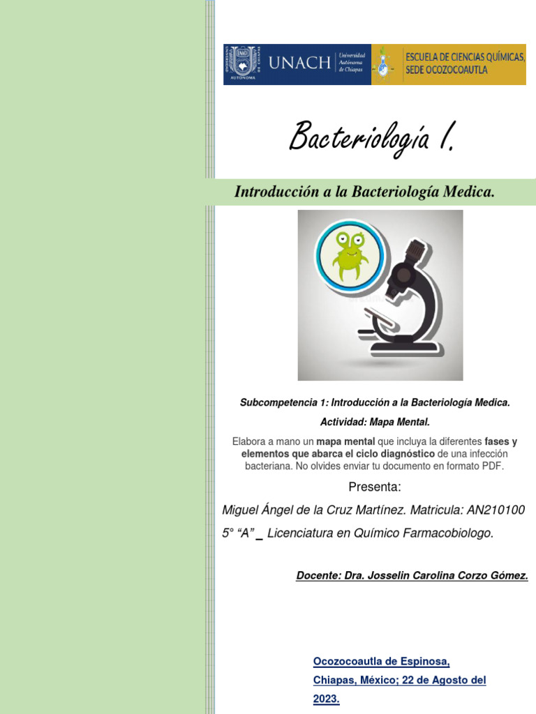 Mapa Mental - Bacter.an210100.macm | PDF | Ciencia y matemáticas