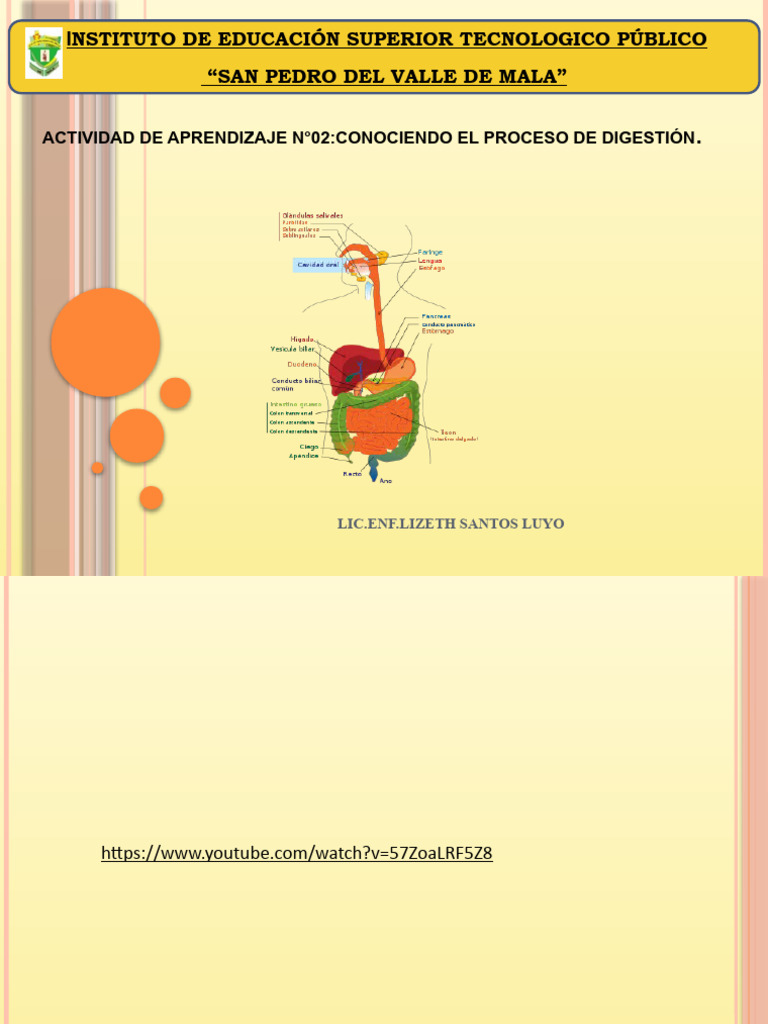 Clase N°02 Aparato Digestivo | PDF | Digestión | Sistema digestivo humano Clase N°02 Aparato Digestivo | PDF | Digestión | Sistema digestivo humano