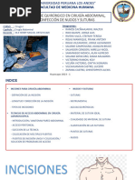 Incisión de Pfannenstiel: Técnica y Aplicaciones | PDF | Pelvis | Vagina