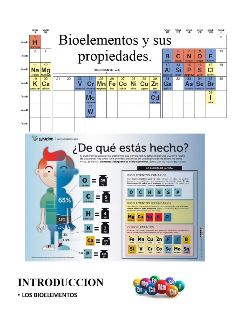 Bioelementos y Sus Propiedades | PDF | Enlace químico | Importar