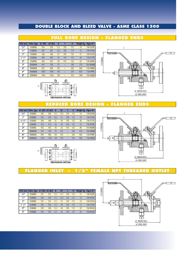DBB Asme Class 1500 | PDF | Mechanical Engineering | Manufactured Goods