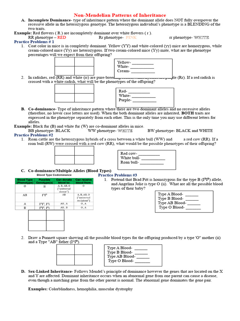 Non Mendelian Worksheets | PDF | Dominance (Genetics) | Allele