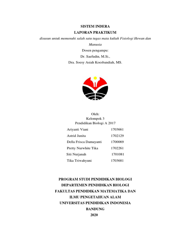Sistem Indra | PDF