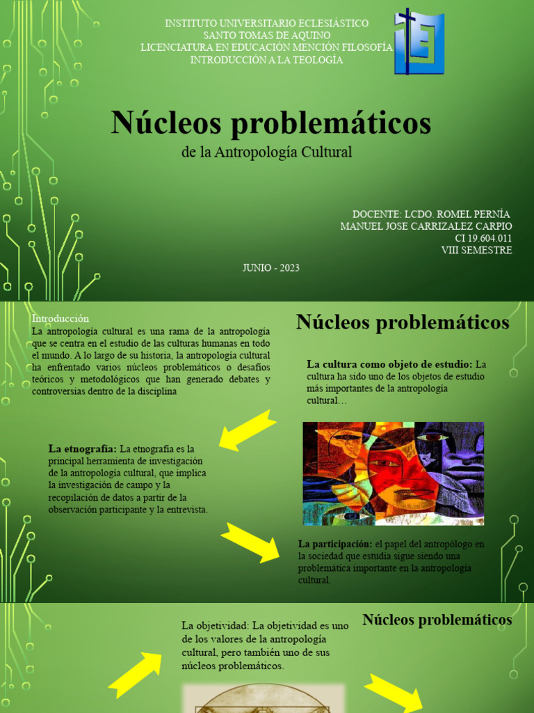 Núcleos Problemáticos | PDF | Antropología | Antropología cultural