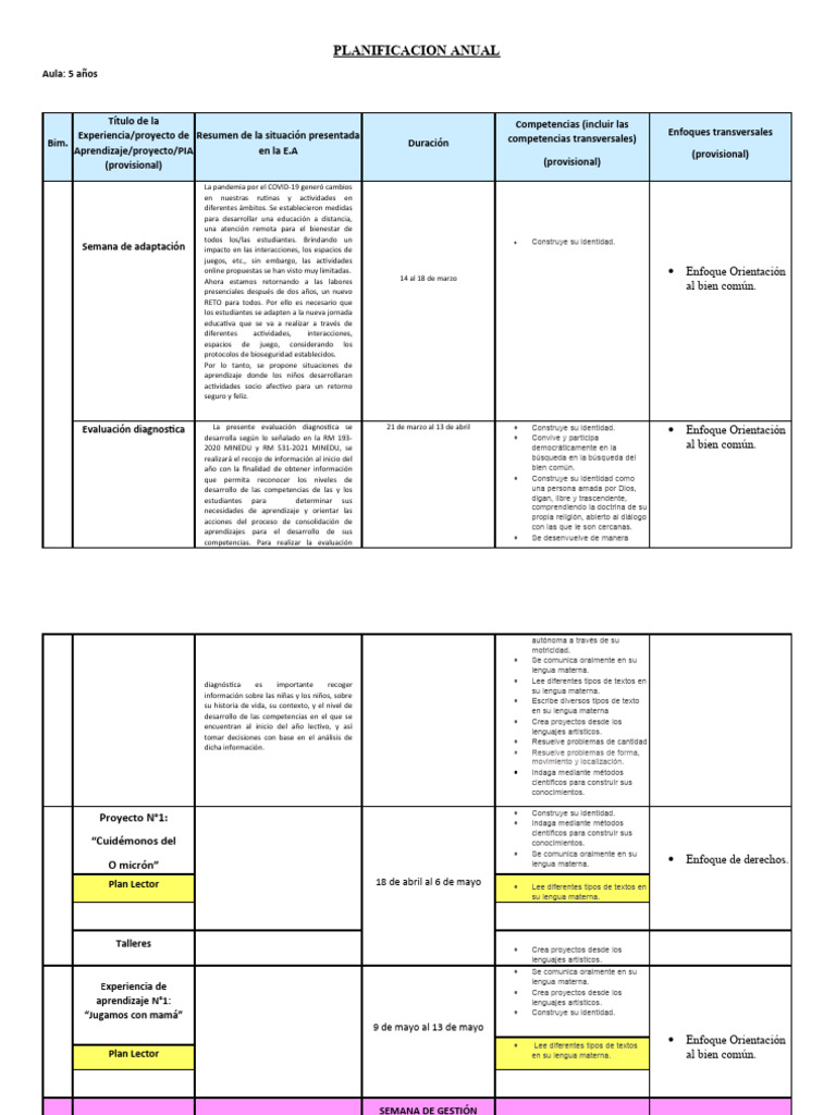 Planificación Anual - Modelo | PDF | Aprendizaje | Evaluación