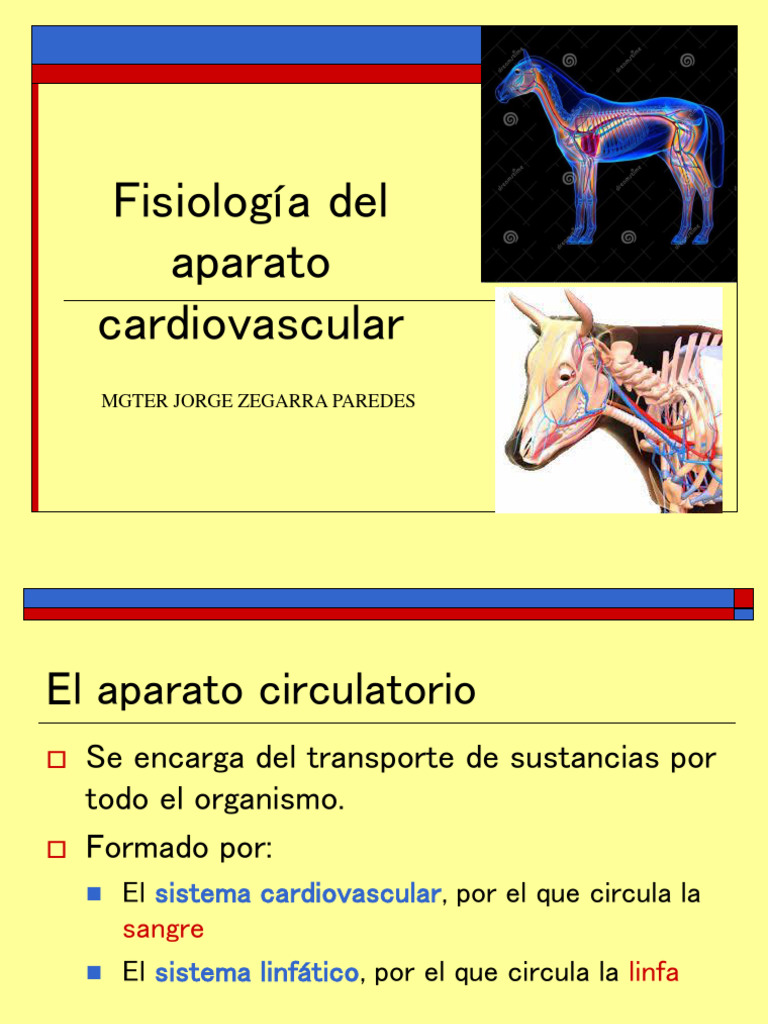 01 Aparato - Circulatorio | PDF | Sistema circulatorio | Corazón