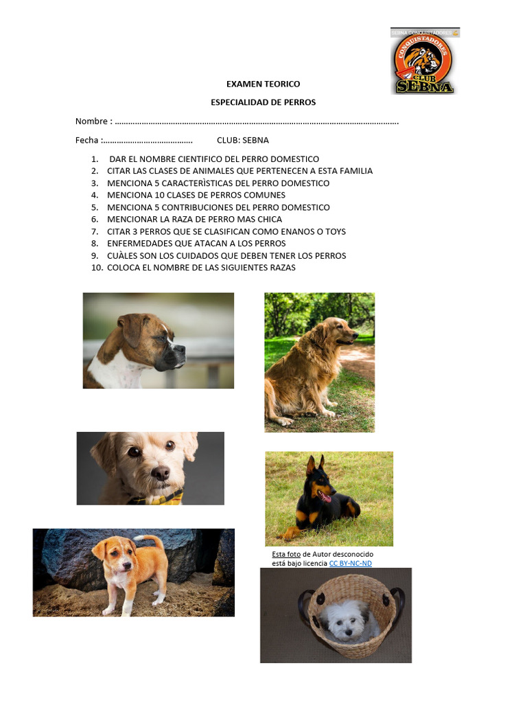 Examen de Perros | PDF