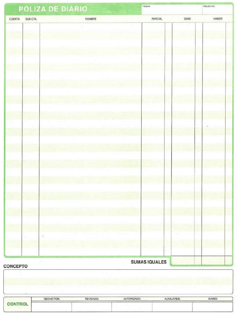 Formato Poliza de Diario | PDF