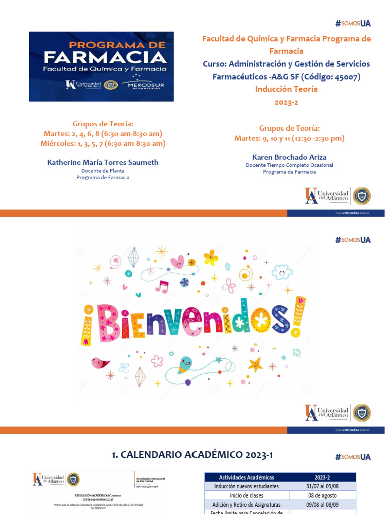 S1 U1 T Inducción Teoría AG SF 2023-2 (01-08-2023) | Descargar gratis PDF | Farmacéutico | Farmacia