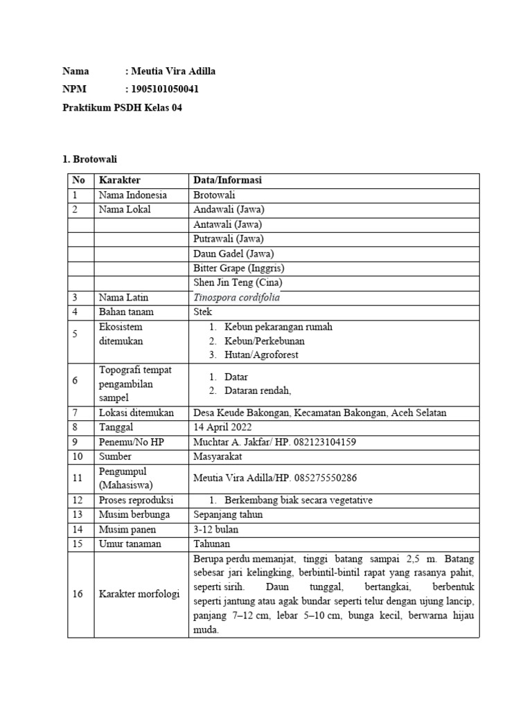 Laporan PSDH-Meutia Vira Adilla | PDF