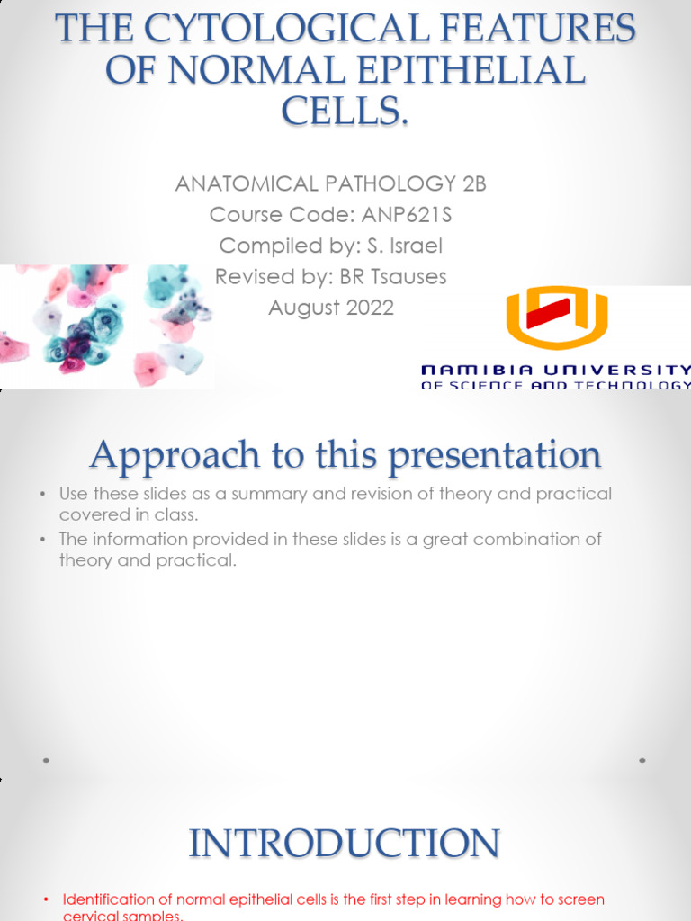 Cytology of Normal Epithelial Cells | Download Free PDF | Staining ...