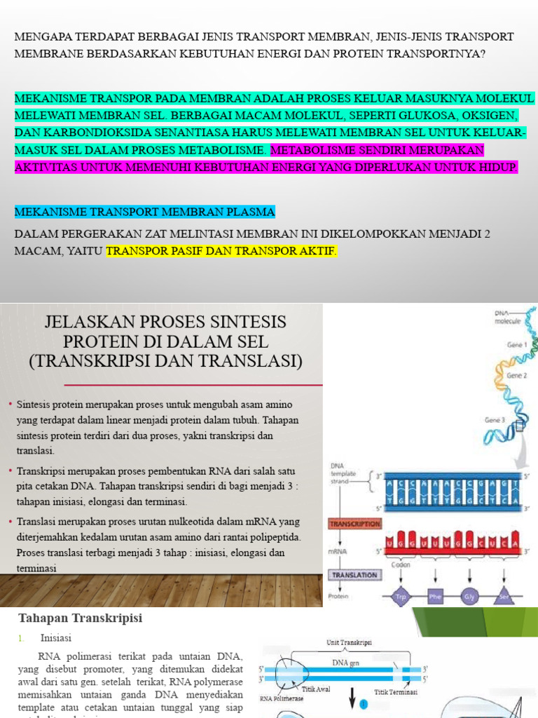 Biologi Sel | PDF