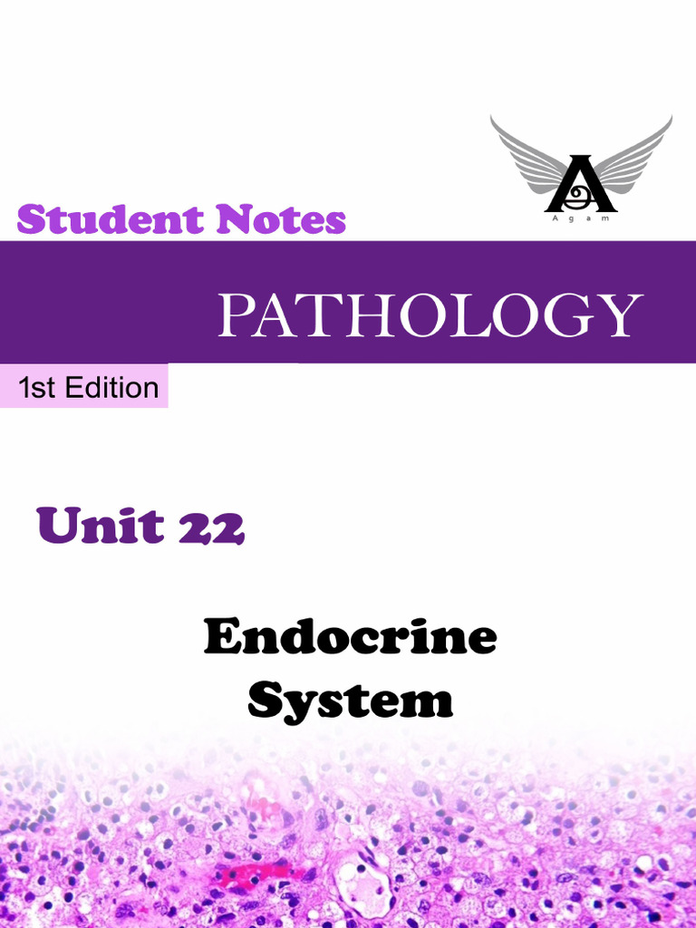 Endocrine System | PDF | Thyroid | Adrenal Gland