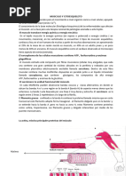 Función y Regulación del Calcio en Células | PDF | Neurona | Biología ...