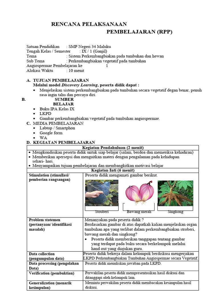 Lkpd Perkembang Biakan Pada Tumbuhan | PDF