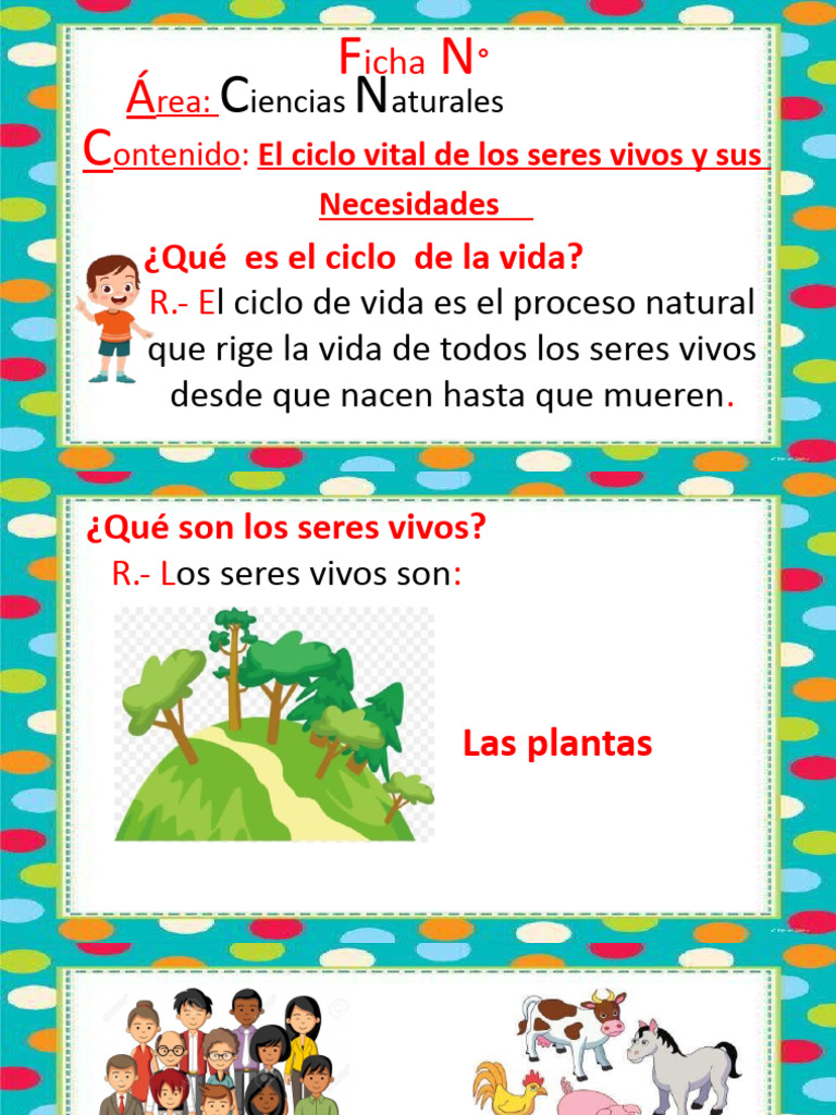 Ciclo Vital de los Seres Vivos para Niños | PDF | Salud y bienestar