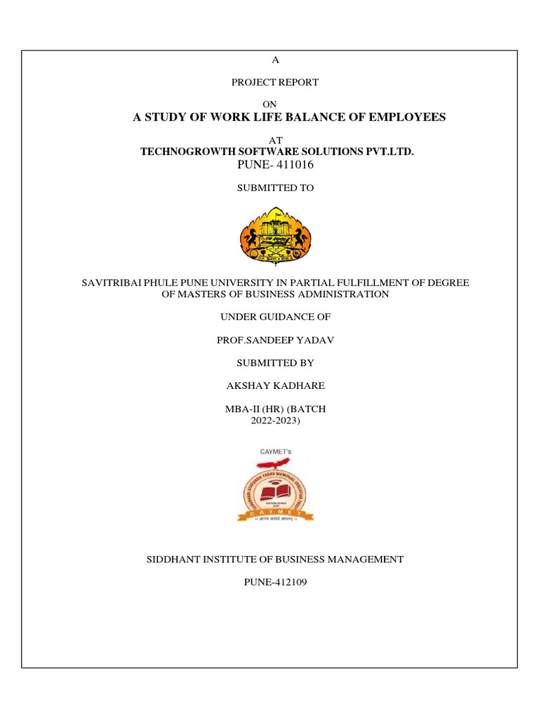 Akshay Project | PDF | Employment | Business