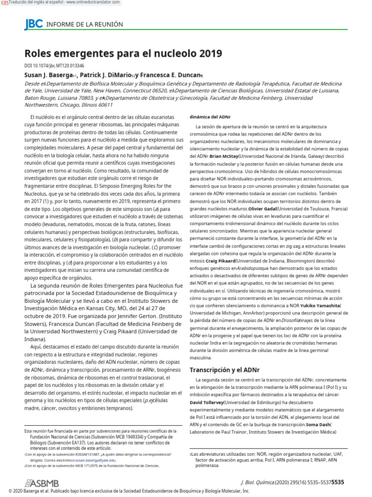 Nuevas Funciones del Nucléolo en 2019 | PDF | Biología Celular) | Ribosoma