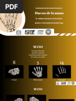 Anatomía del Húmero, Radio y Cúbito | PDF | Codo | Hombro