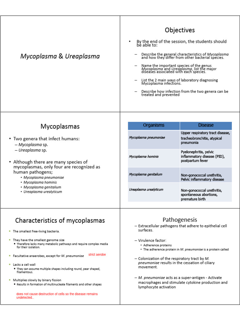 5.lecture - 5 Mycoplasma - Ureaplasma | PDF | Mycoplasma | Pneumonia