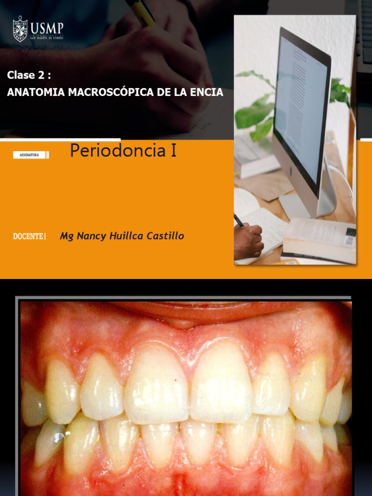 Clase 2 Anatomia Macroscopica de La Encia | PDF | Periodoncia | Odontología