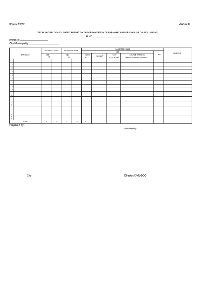 BADAC Form 1 CIR Consolidated Information Report | PDF