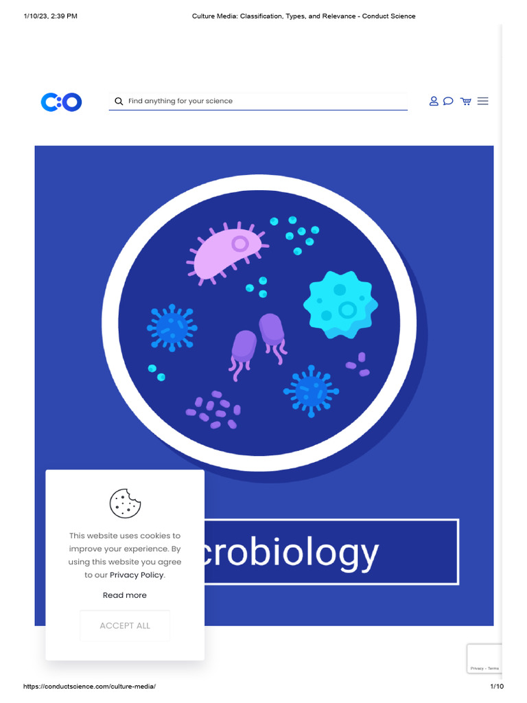 Culture Media - Classification, Types, and Relevance - Conduct Science ...