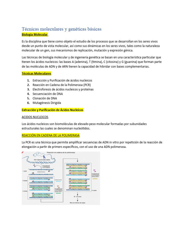 Técnicas Moleculares y Genéticas Básicas | PDF | Genética molecular | Adn