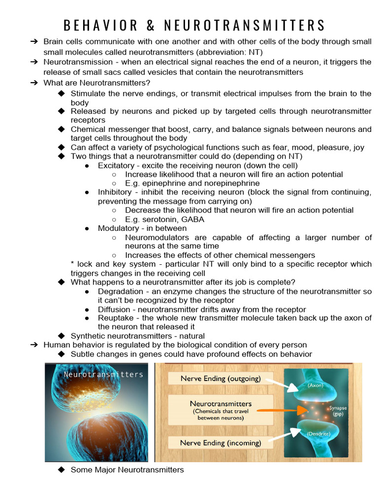 (Genpsych) Behavior and Neurotransmitters | PDF | Neurotransmitter | Neuron