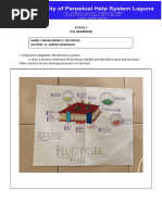 Lab Activity 4 Preparing A Wet Mount | PDF | Cell (Biology) | Staining