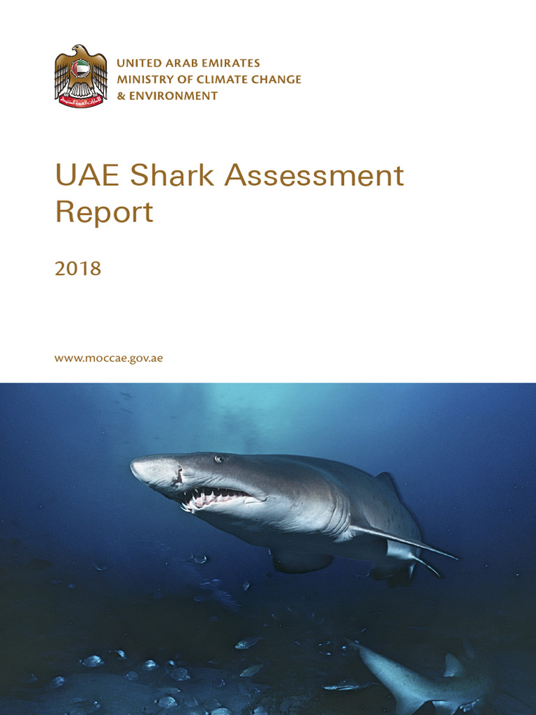 Shark Assessment Report 6-6-2018 Eng | PDF | United Arab Emirates ...