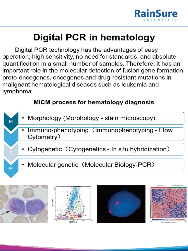 Digital PCR Application - Leukemia en | PDF | Medical Specialties ...