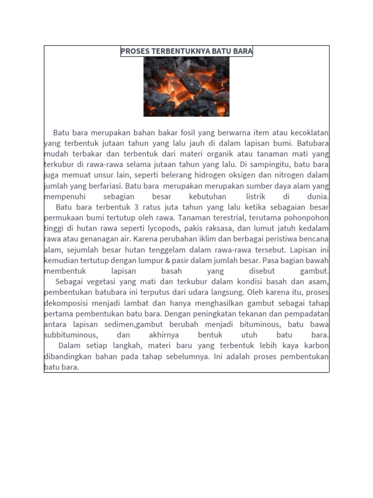 Teks Eksplanasi Proses Terbentuknya Batu Bara | PDF