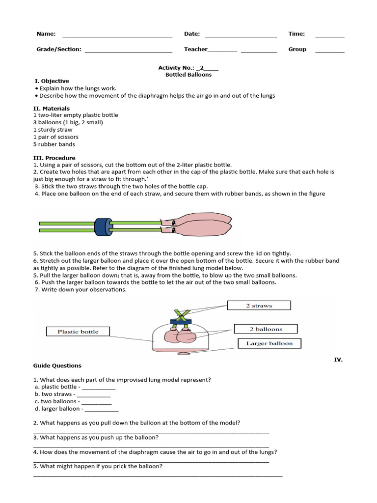 Activity 2 Science 9 Quarter 1 | PDF