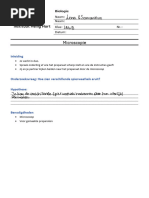 Tekenregels Biologie Microscoop Preparaat | PDF