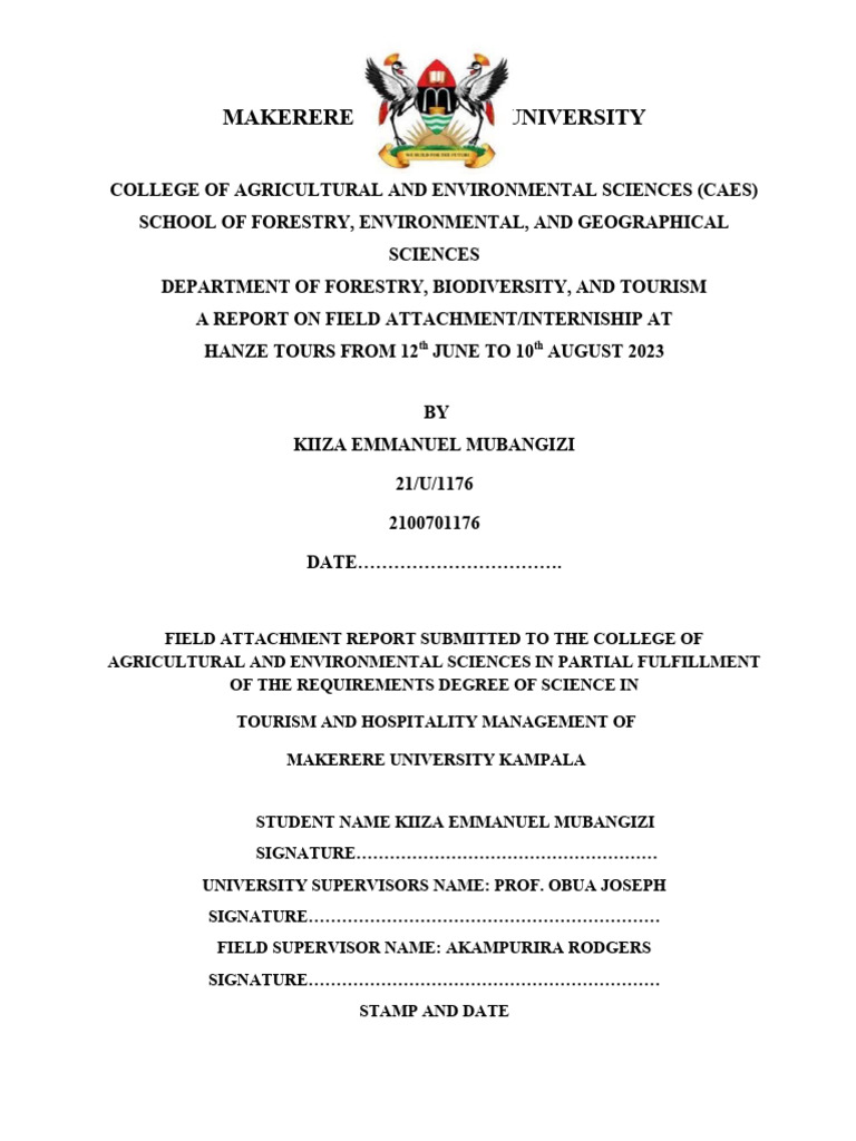 Makerere Recess Report Final | PDF | Digital Marketing | Marketing