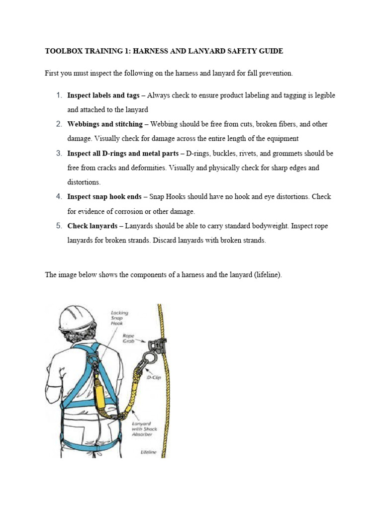 Toolbox Training Session - Harness and Lanyard | PDF