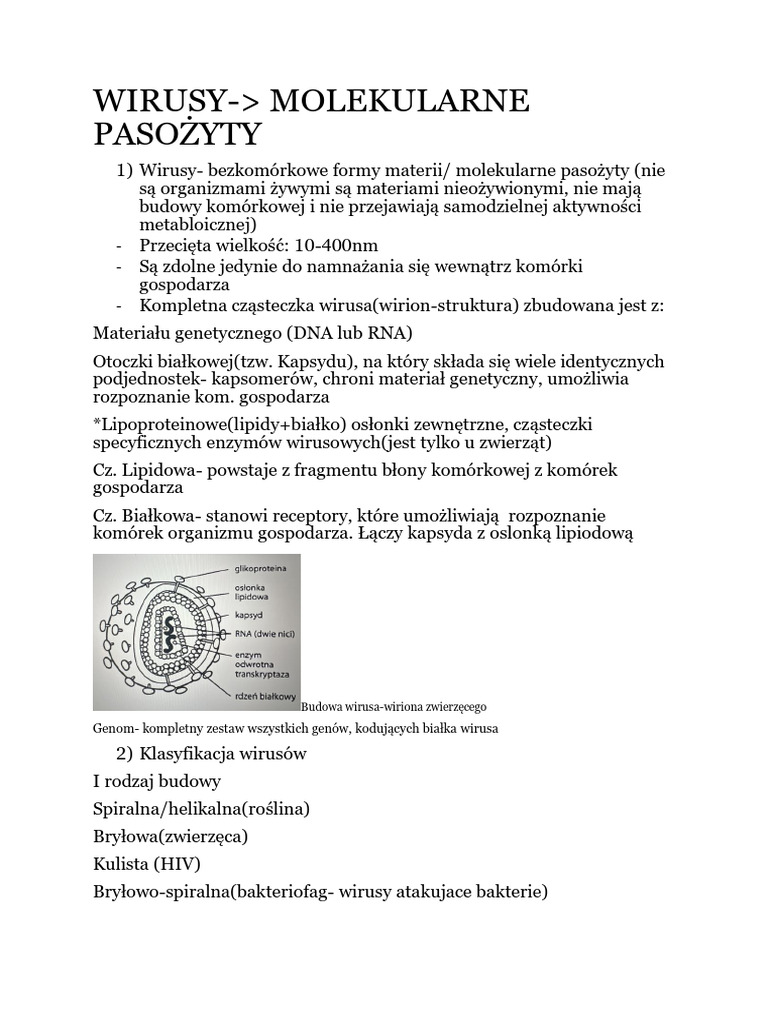 Wirus 2 | PDF