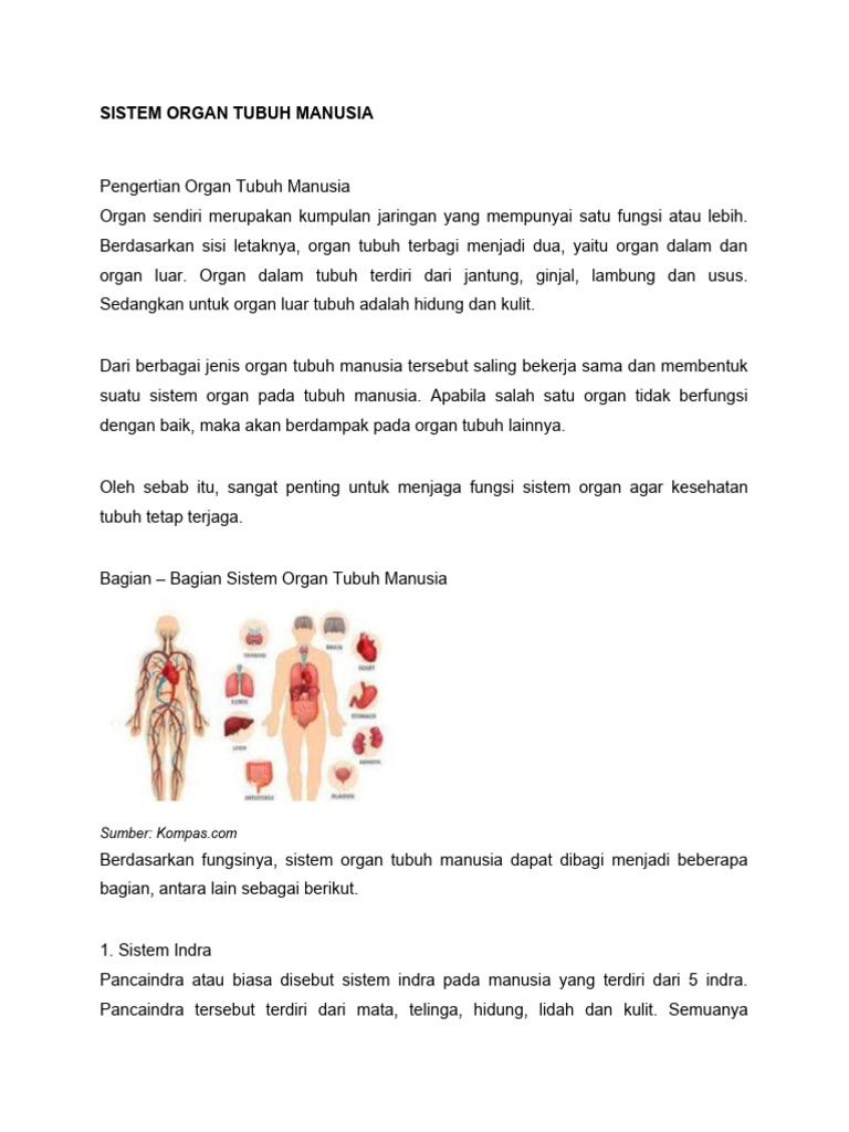 Sistem Organ Tubuh Manusia dan Fungsinya | PDF | Kesehatan Holistik