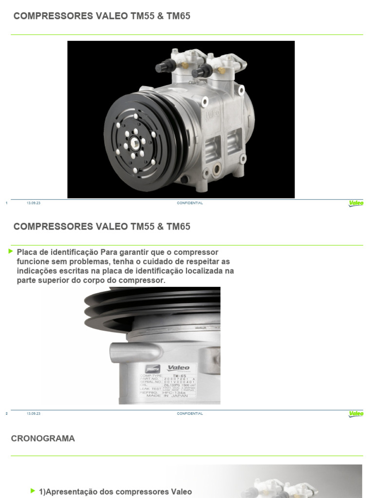 Treinamento TM 65 Valeo. | PDF | Pistão | Engenharia Mecânica
