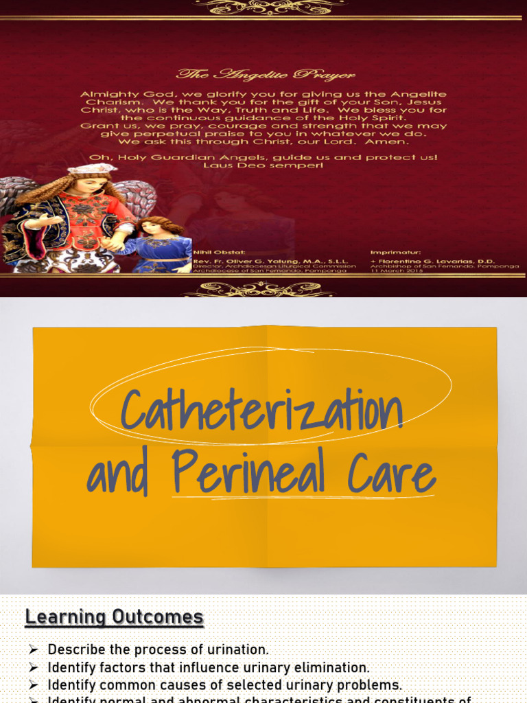 Catheterization And Perineal Care Ppt 1 Pdf Urinary Incontinence Urination