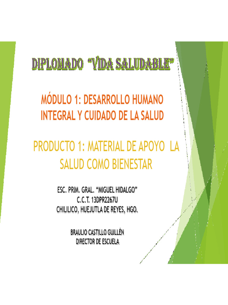 Producto 1 Módulo 1 Diplomado Vida Saludable BCG | Descargar gratis PDF | Las emociones ...