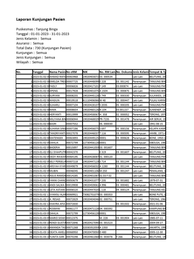 Laporan Kunjungan Pasien | PDF