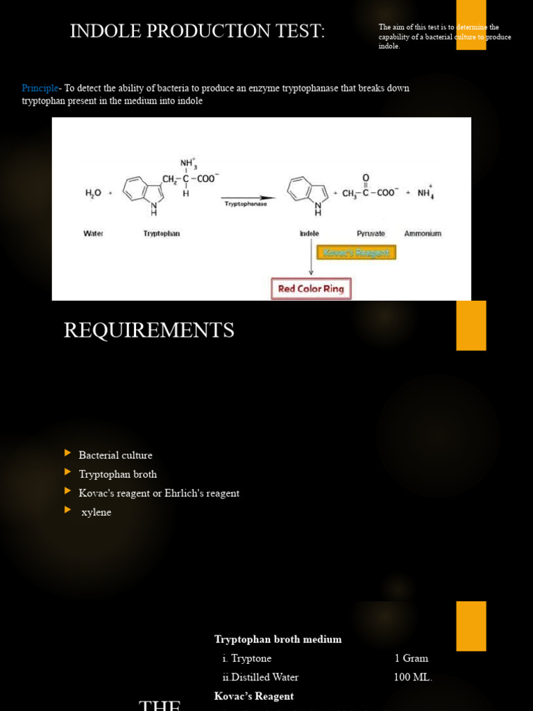 Indole Production Test Guide | PDF | Bacteria | Microbiology