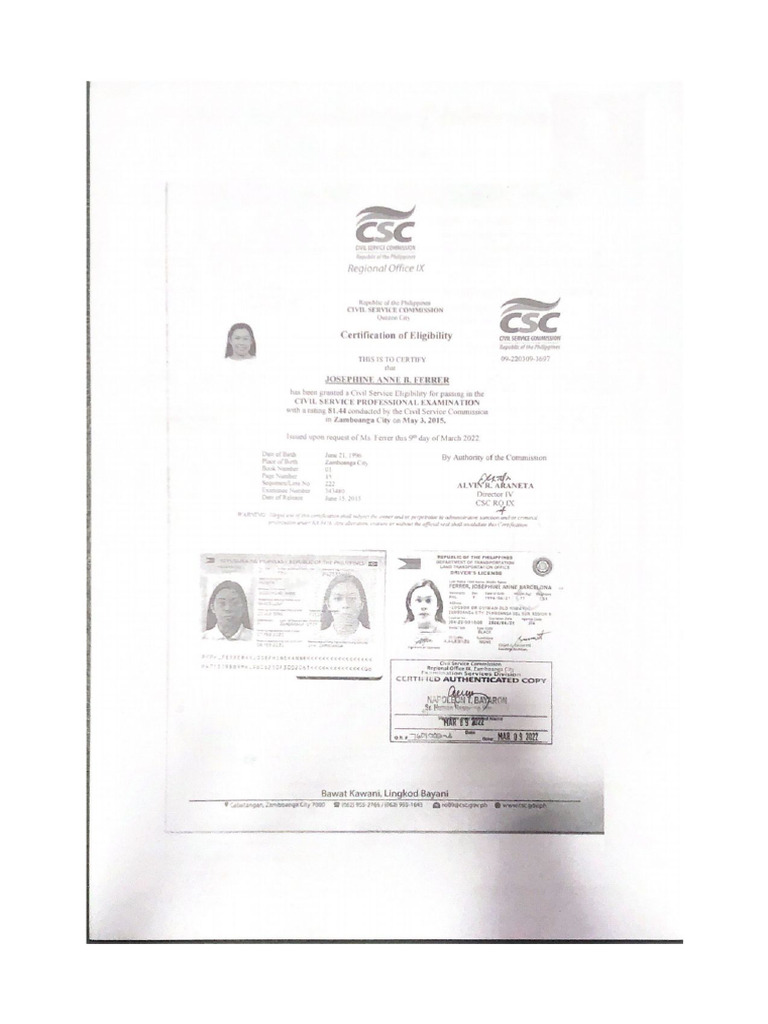 CSC Career Professional Eligibility | PDF