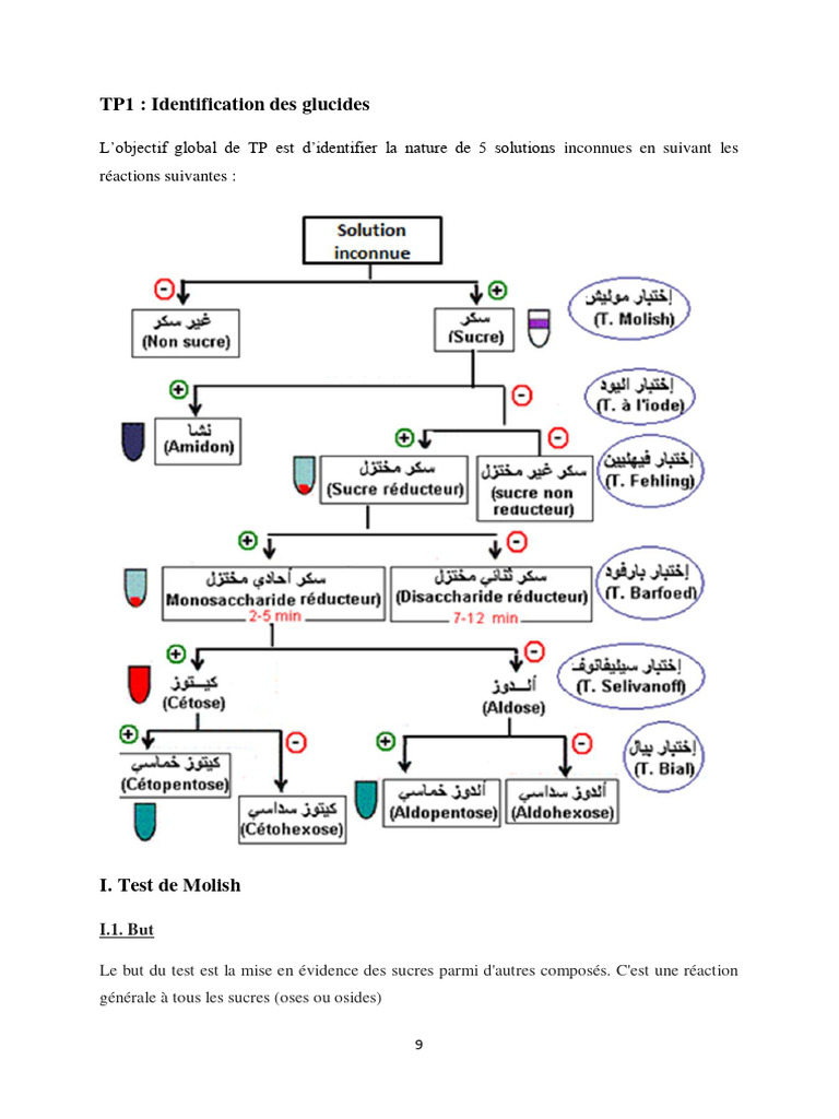 Manuel de TP Biochimie Structurale 2020 TP1 | PDF | Glucide | Matériaux